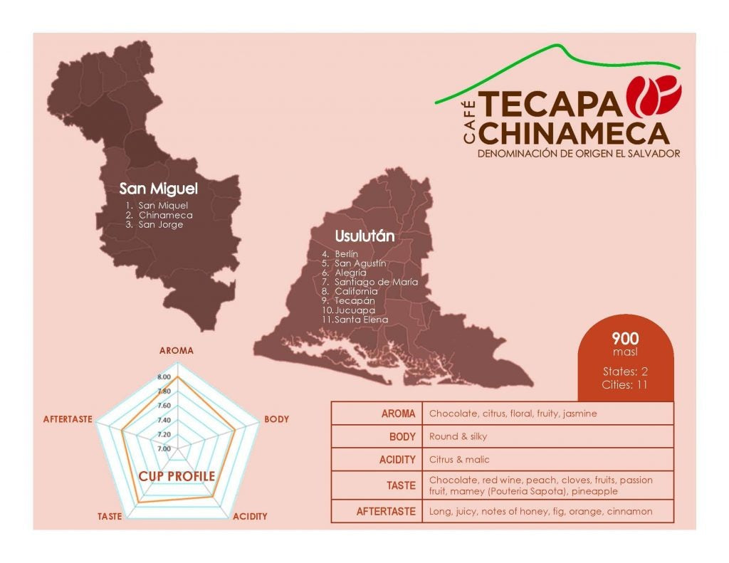 Tecapa Chinameca Region – Cafe La Casona